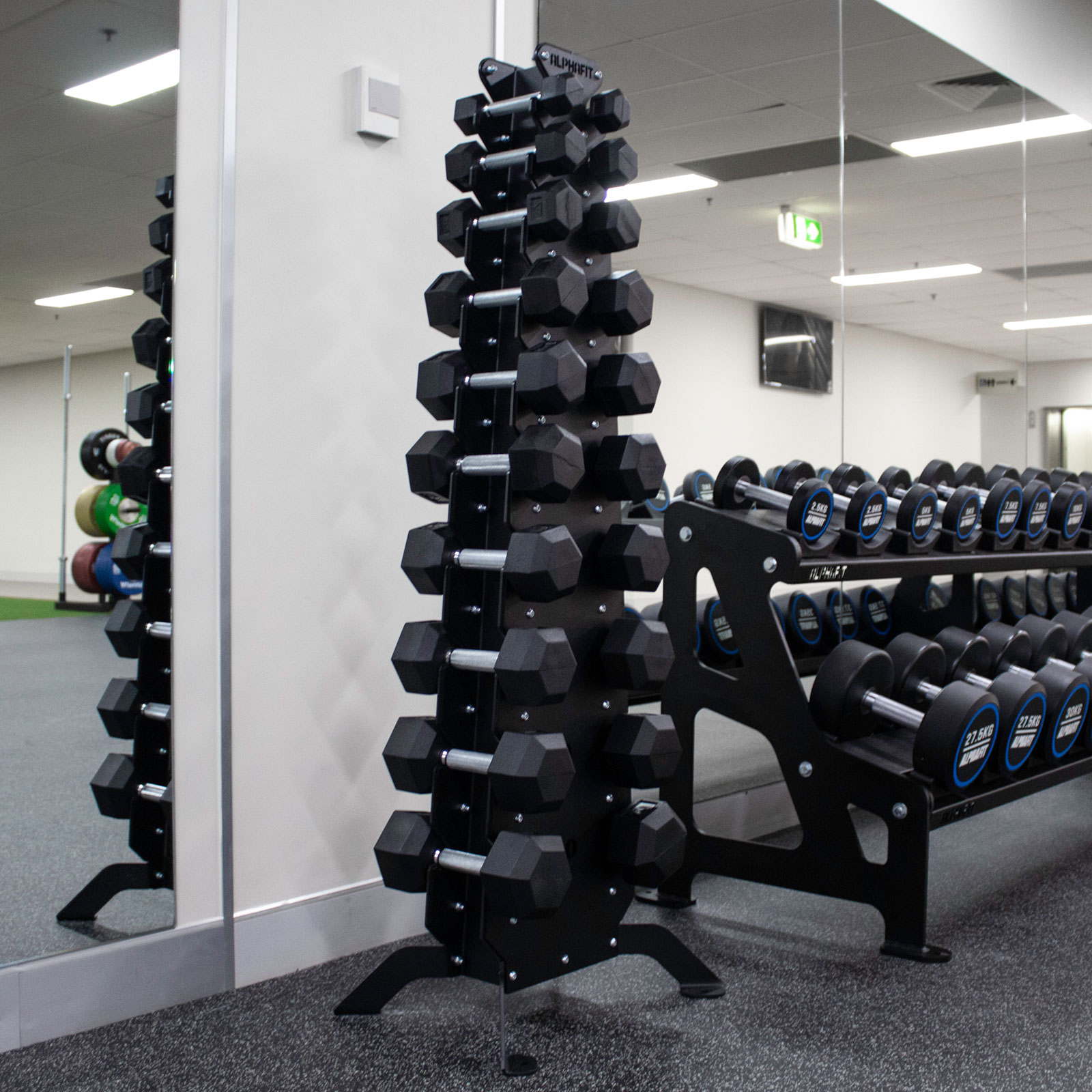 Dumbbell Tower | AlphaFit Built Not Bought