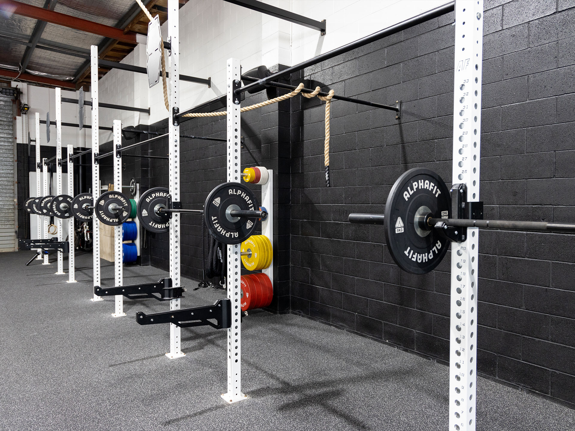 Limitless Performance Centre | AlphaFit