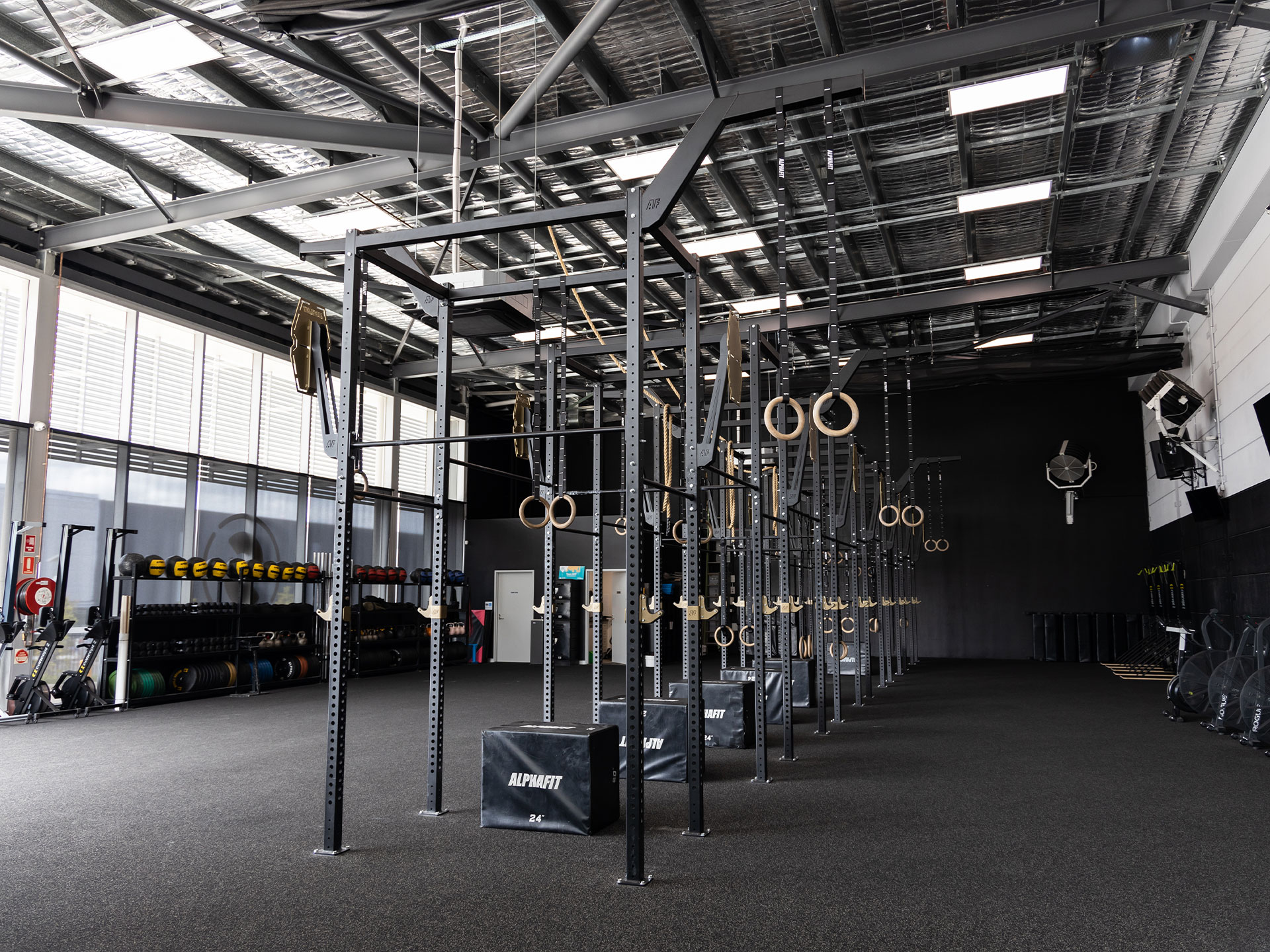 Get Commando Fit | AlphaFit