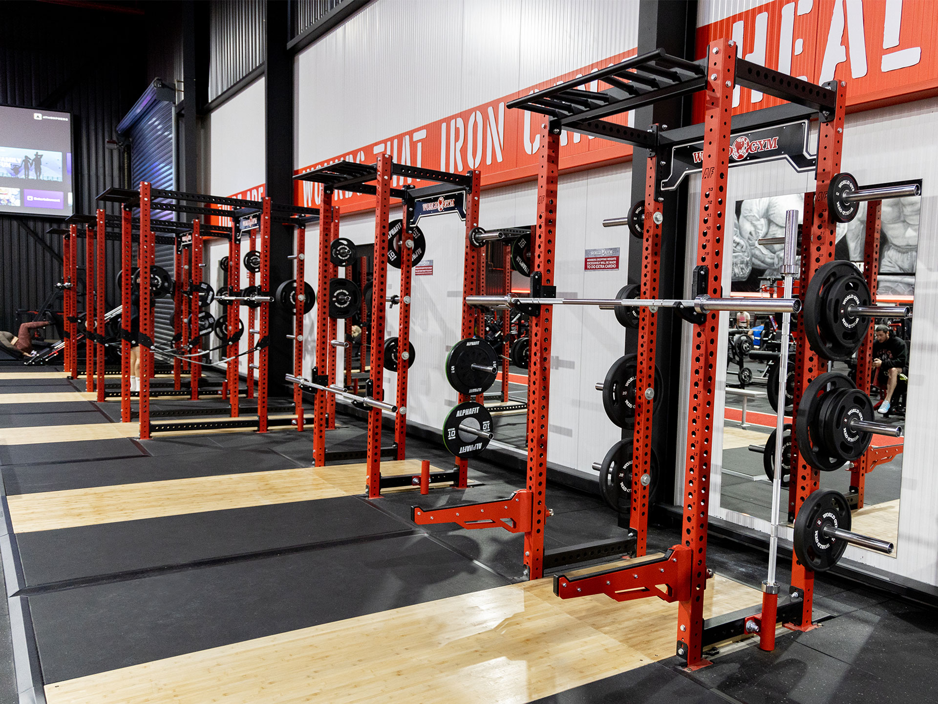 World Gym - Underwood | AlphaFit