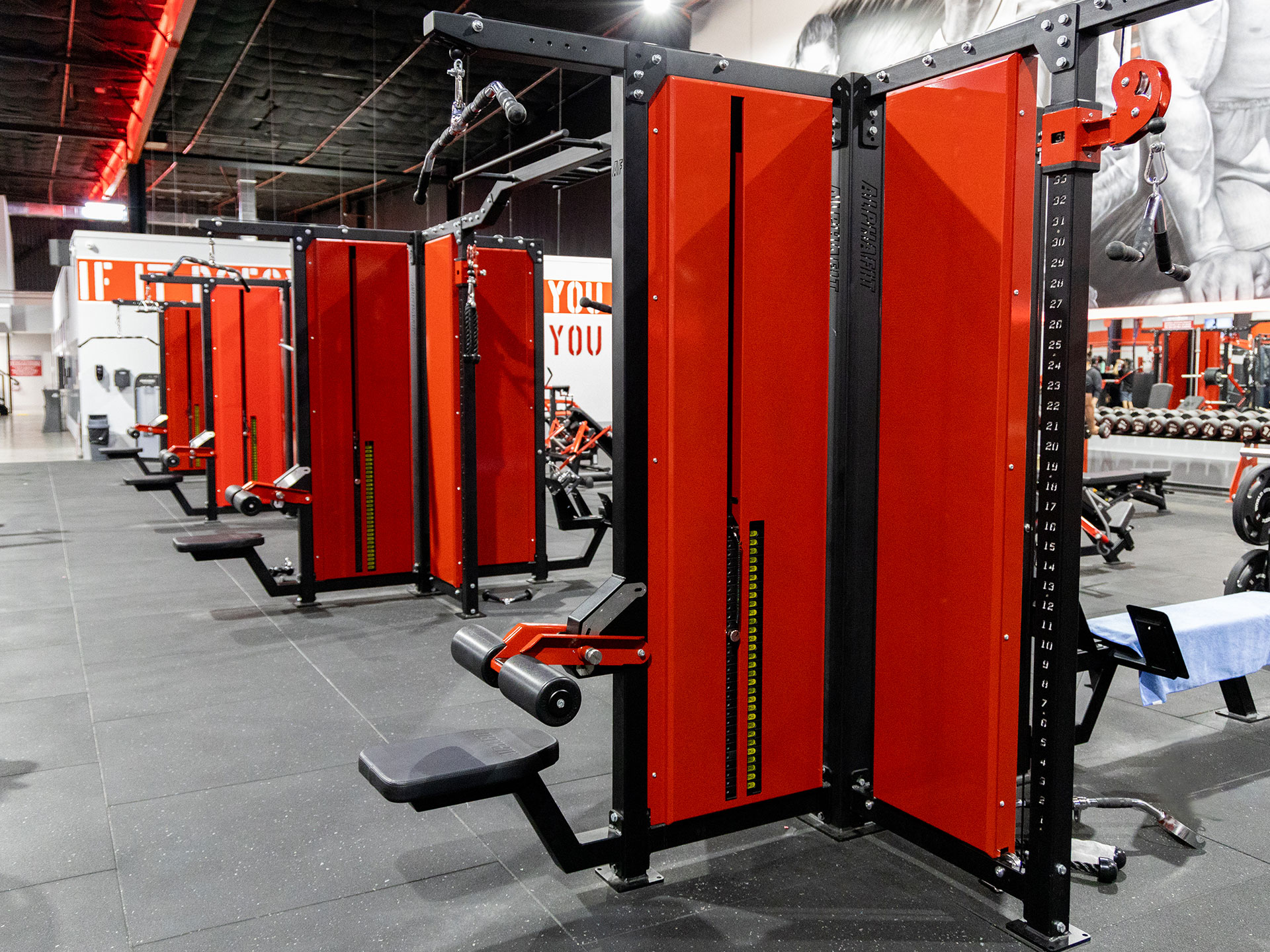 World Gym - Underwood | AlphaFit