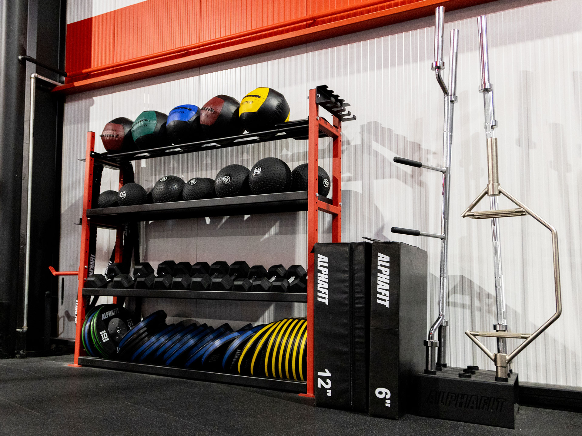 World Gym - Underwood | AlphaFit