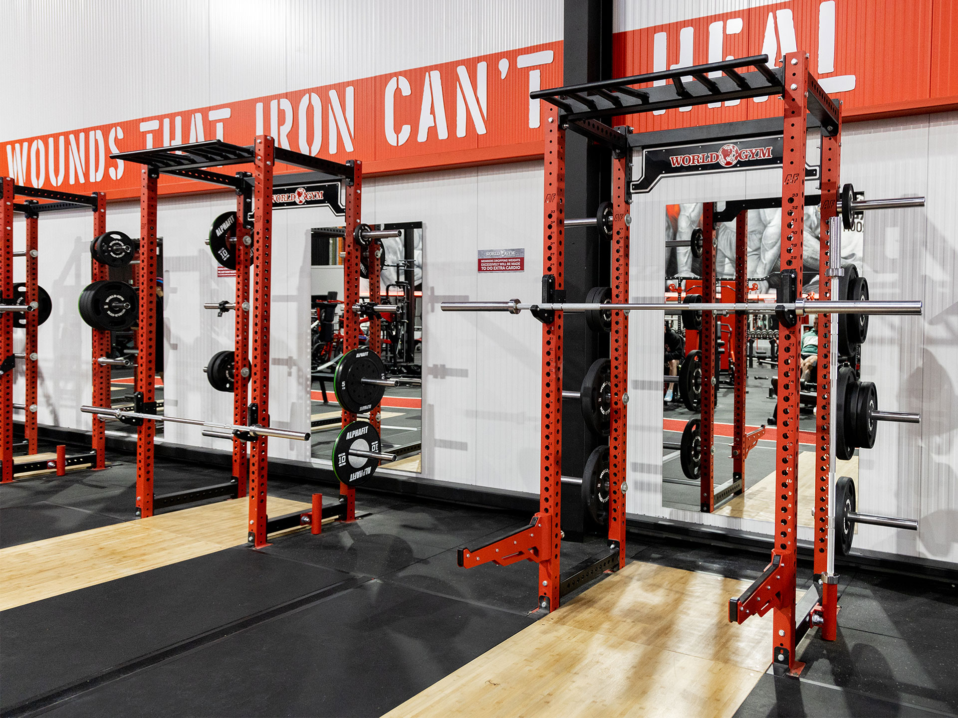 World Gym - Underwood | AlphaFit