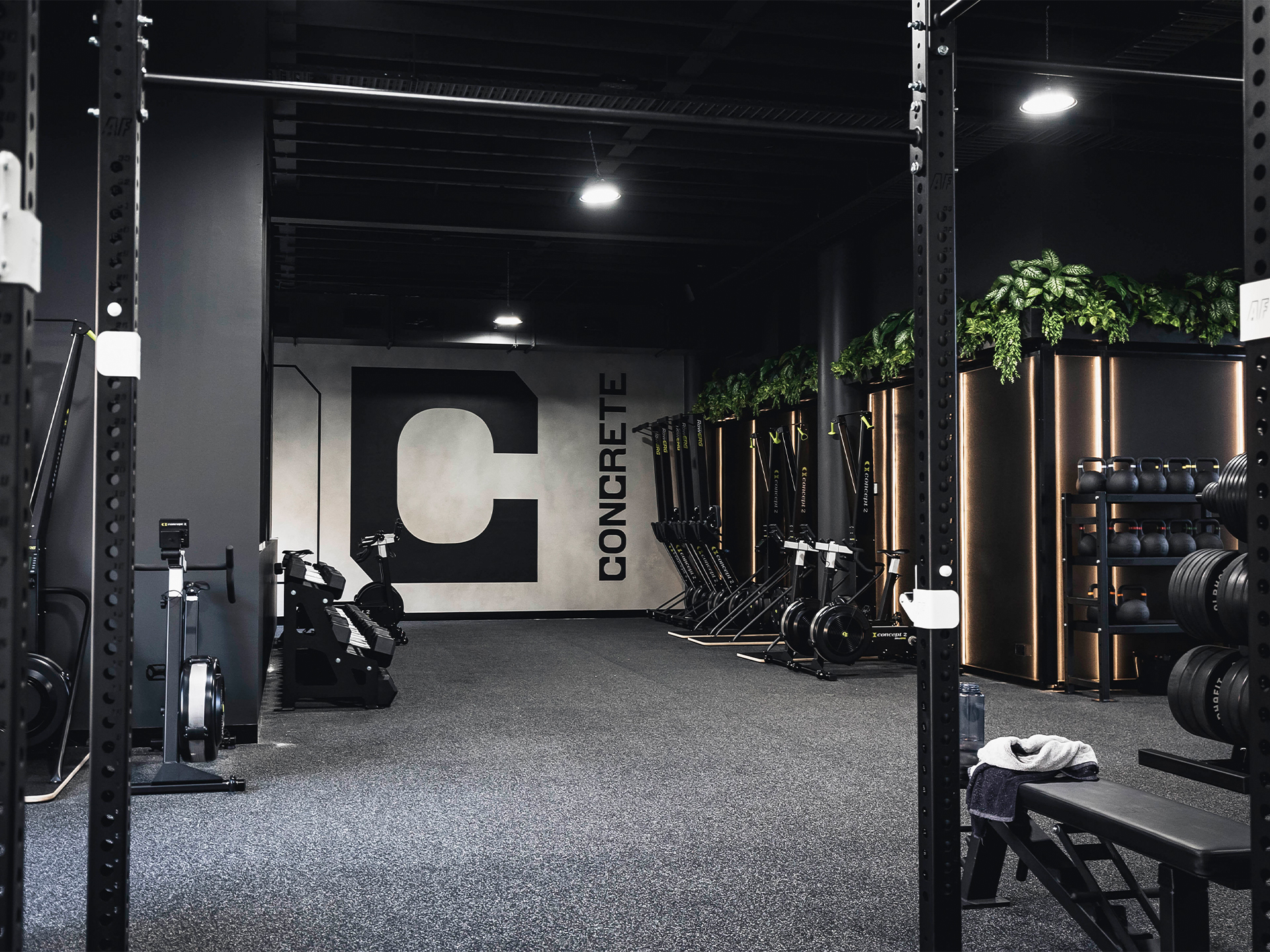 Concrete Gym | AlphaFit