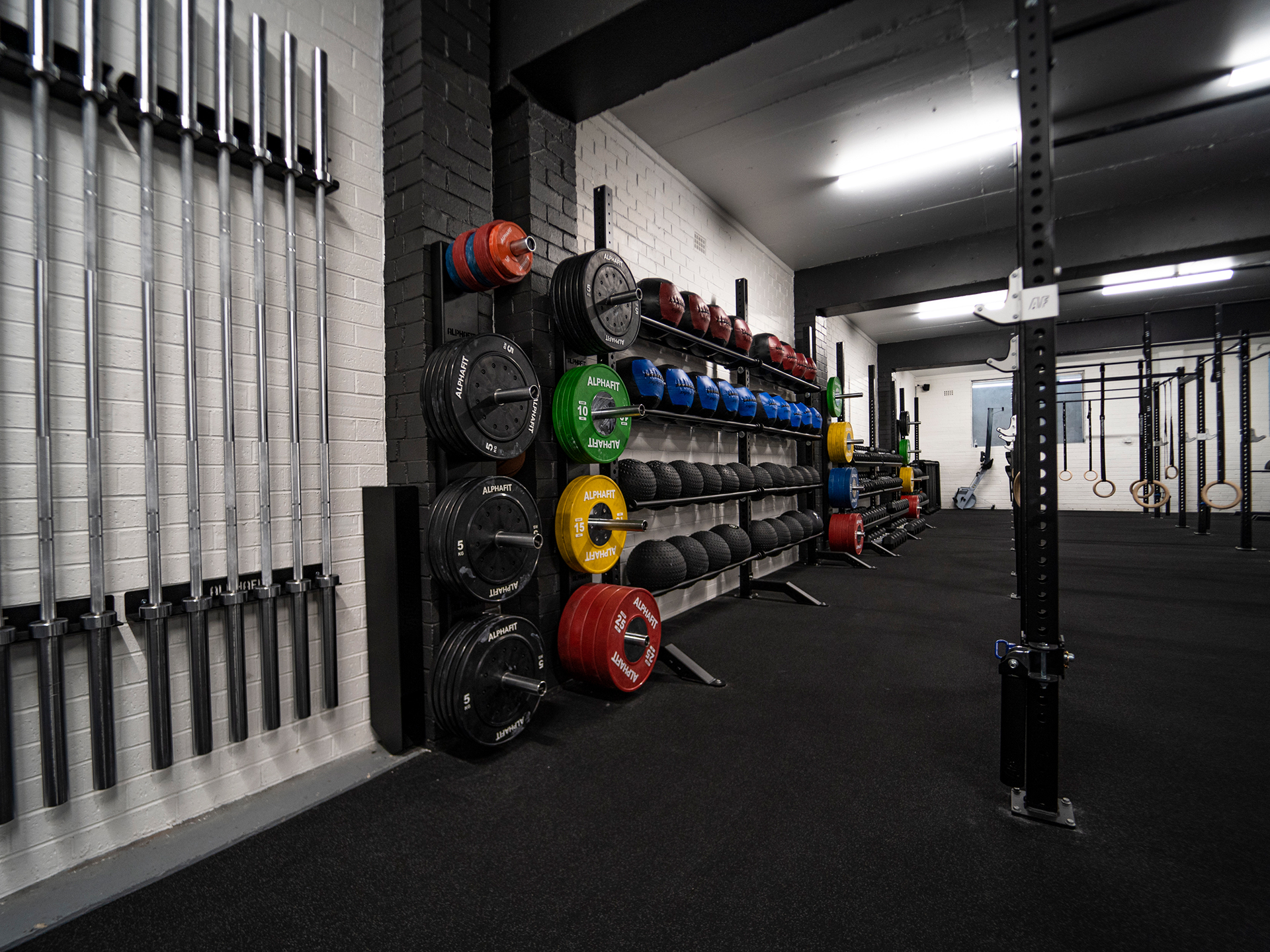 AlphaFit | Premium Strength & Conditioning Equipment