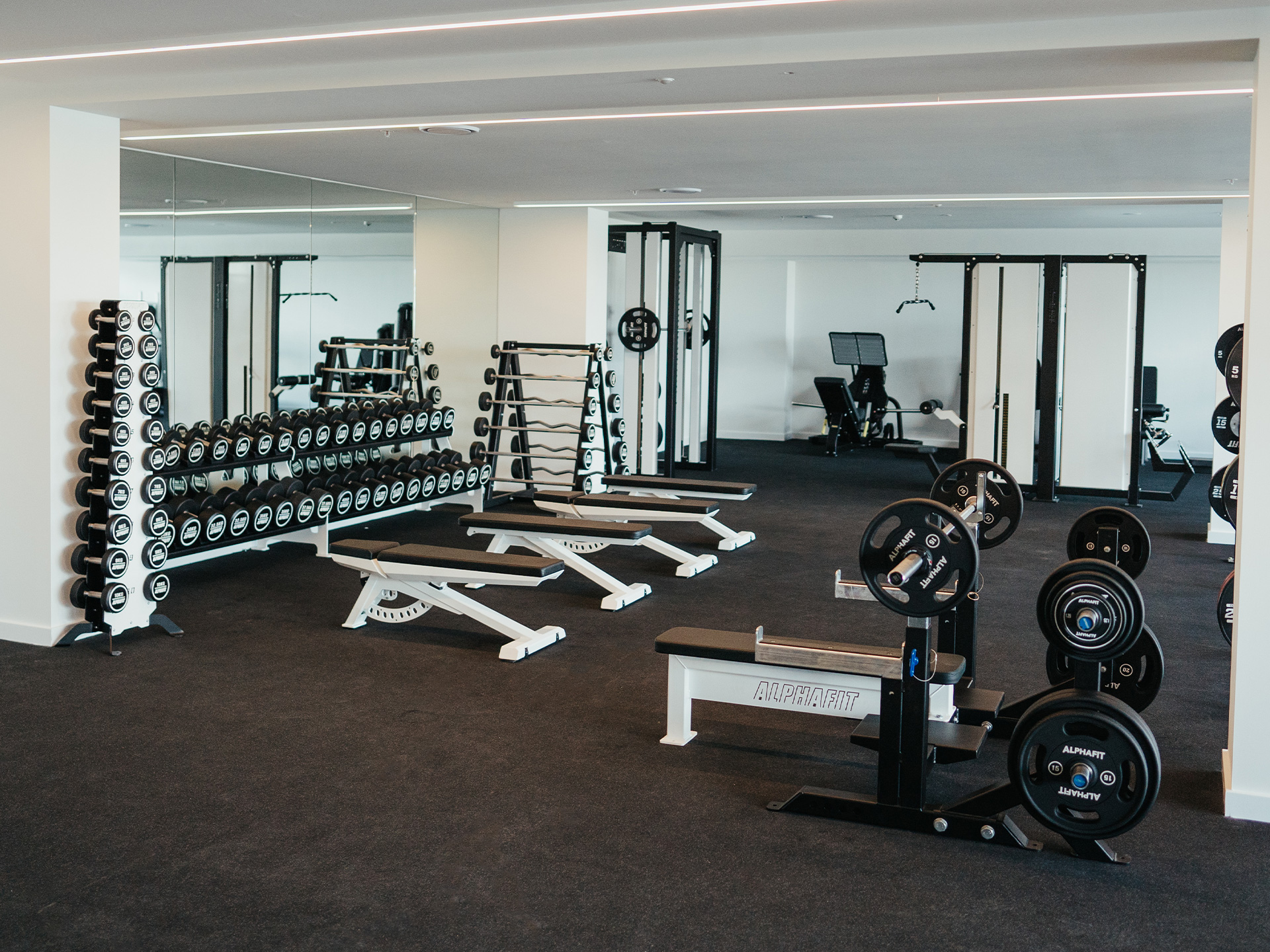 Hotels & Residential Apartment Gym Fitouts | AlphaFit