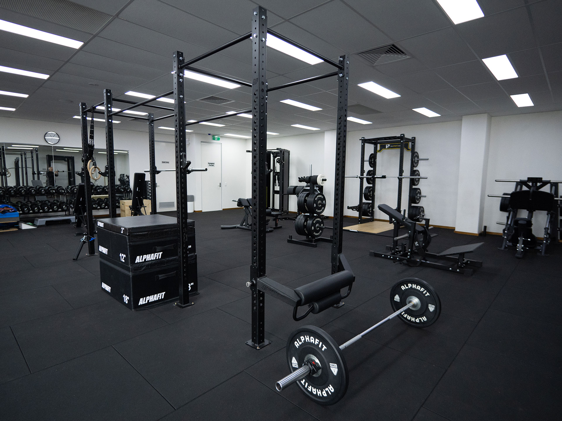Health and Rehab Services Gym Fitouts | AlphaFit