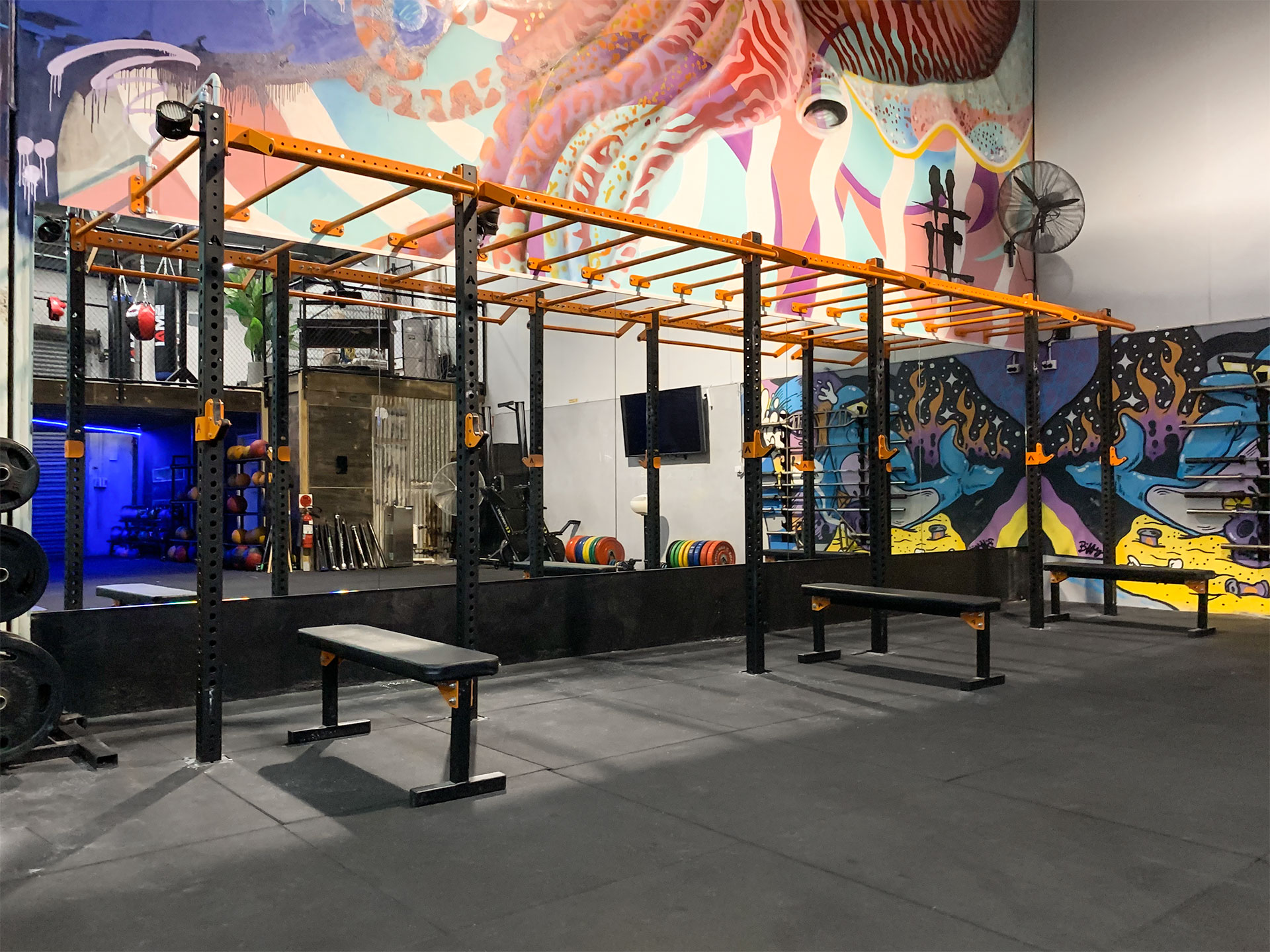 Body Movement Strength and Conditioning Gym Fitout | AlphaFit