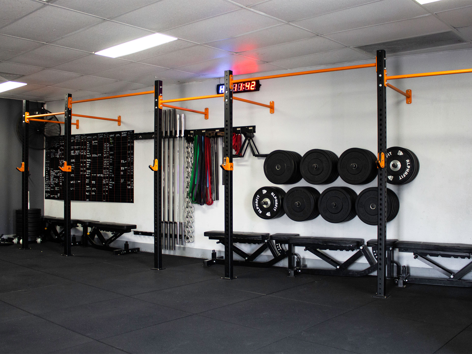Body Coaching High Performance Gym Fitout | AlphaFit