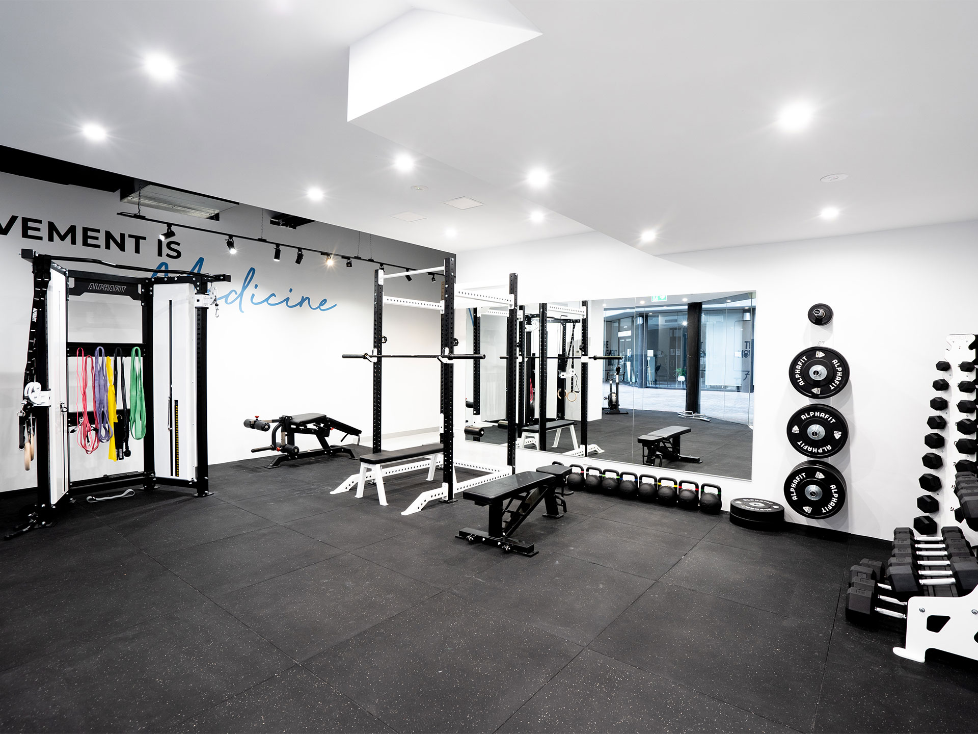 The Movement Box | AlphaFit