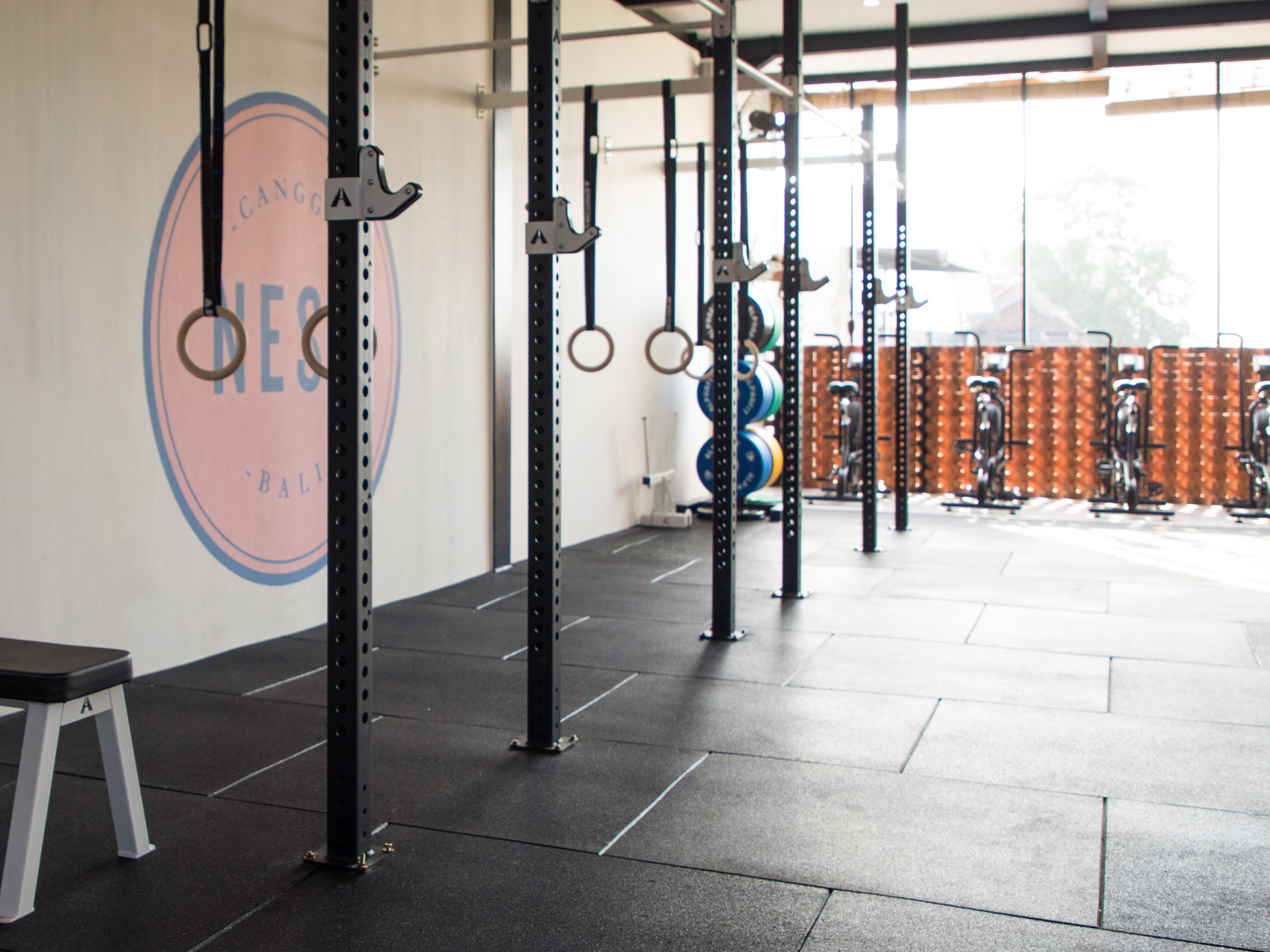 International Gym Fitouts | 100% Australian Made | AlphaFit